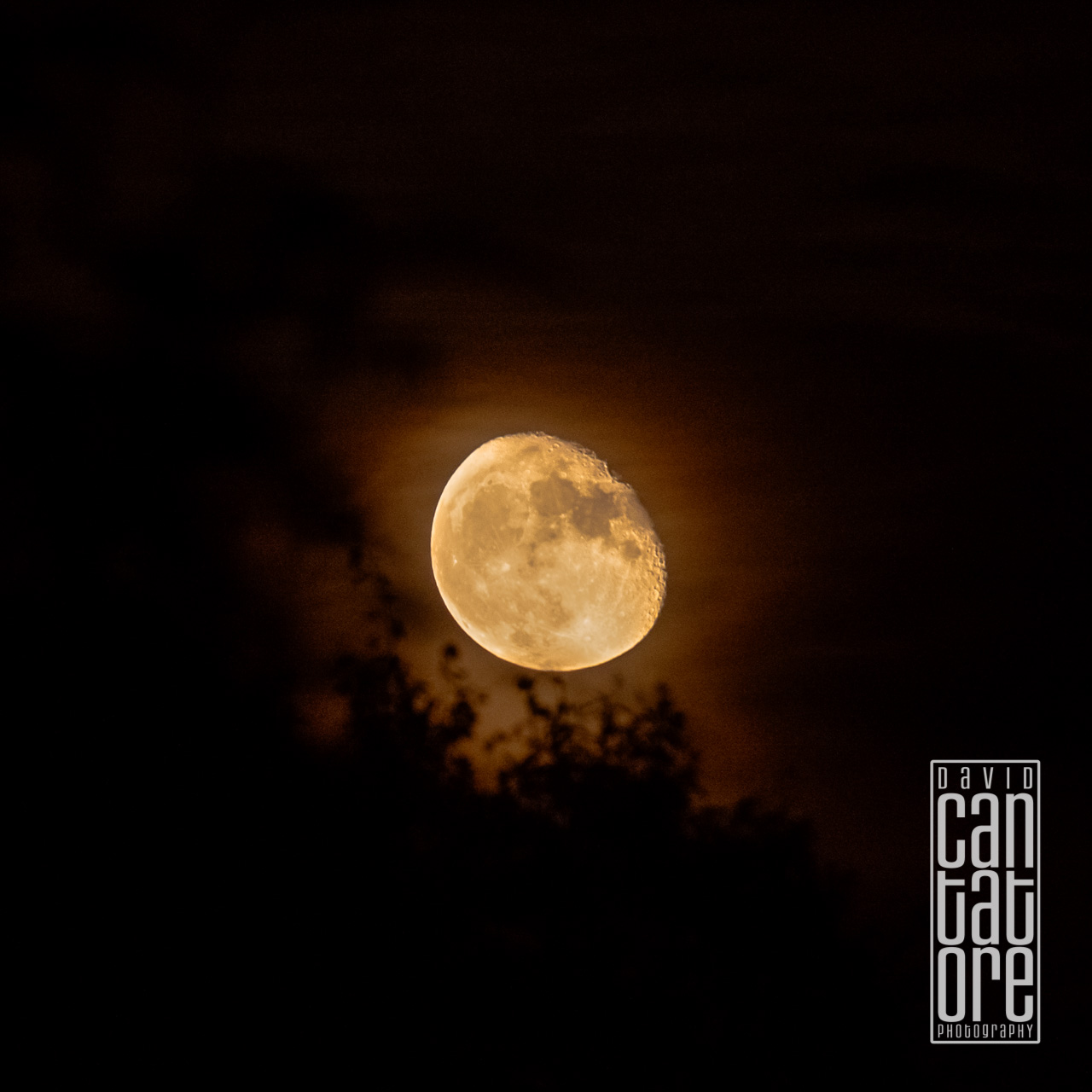 Moon – Mostly Real Stuff